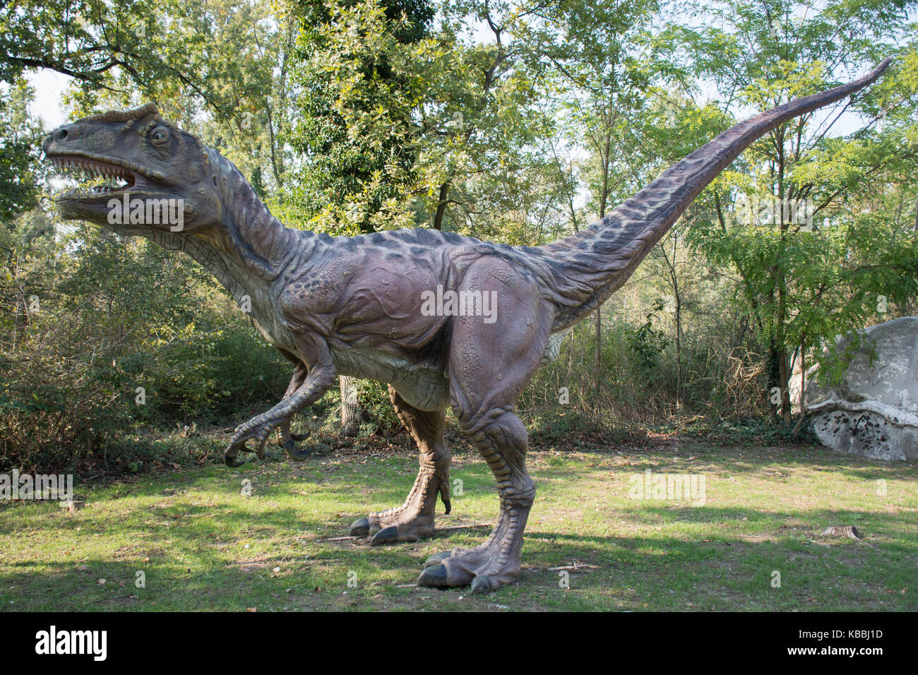 Saltriosaur High Resolution Stock Photography and Images - Alamy