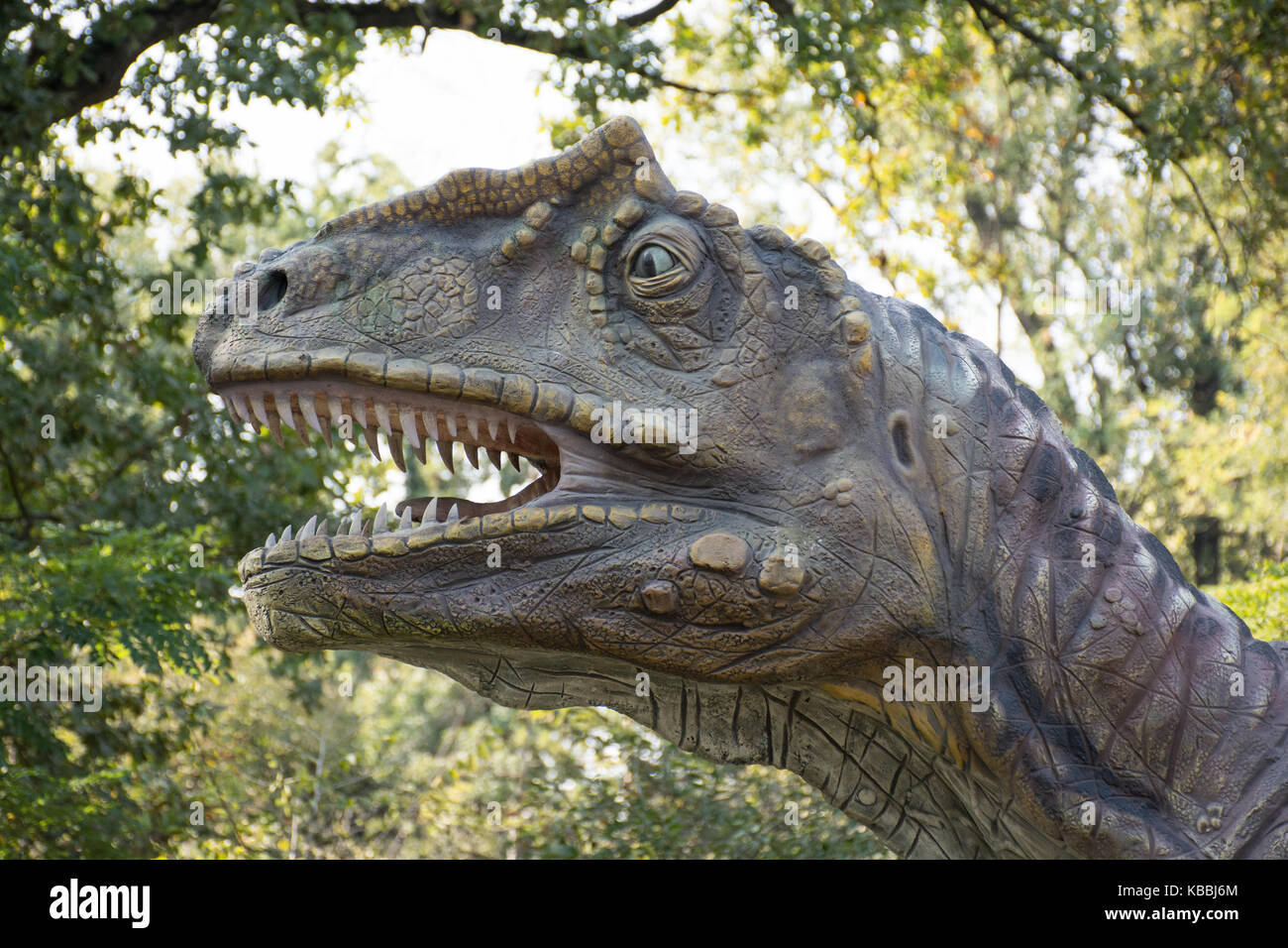 Saltriosaurus hi-res stock photography and images - Alamy
