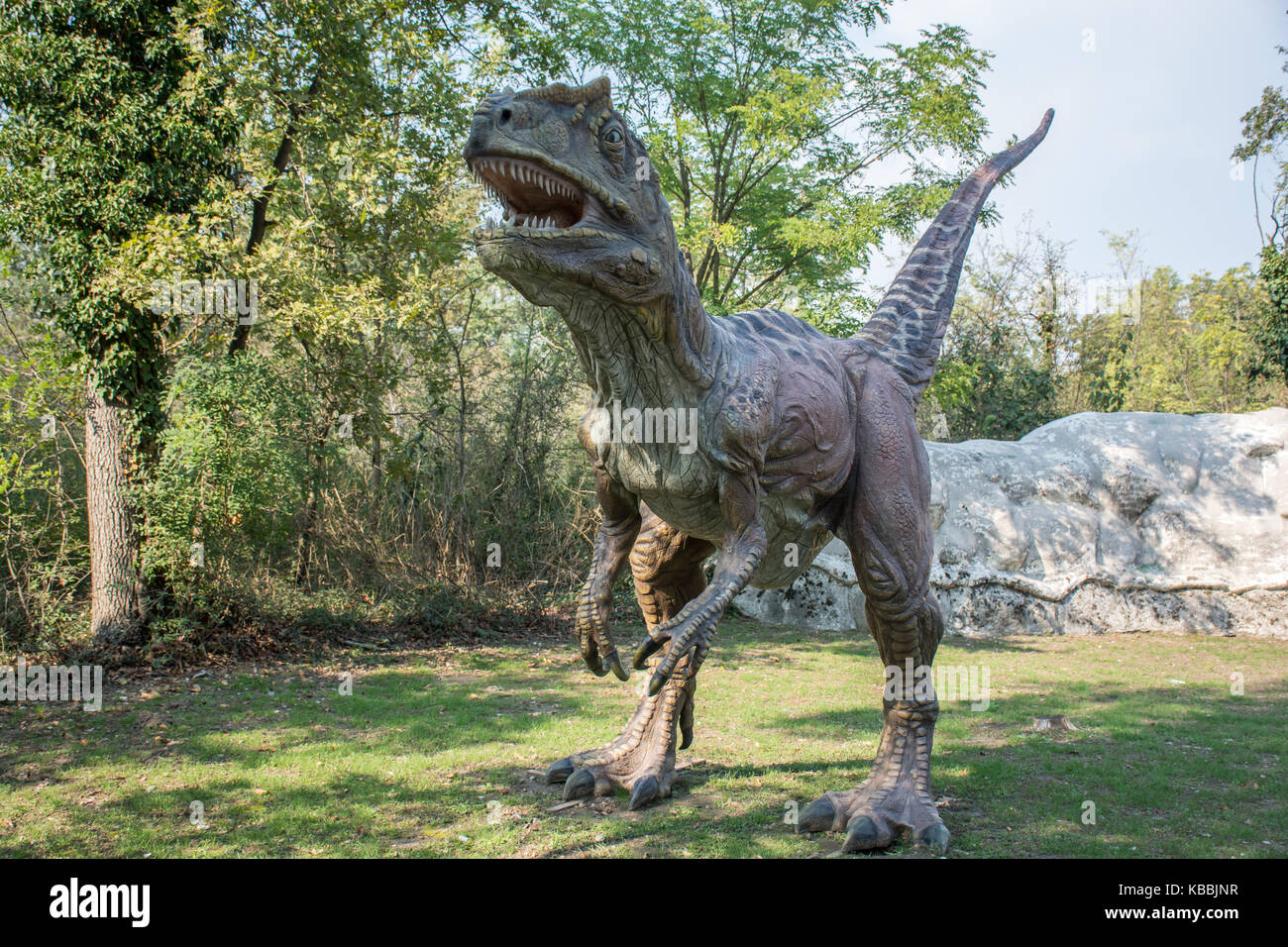 Saltriosaur hi-res stock photography and images - Alamy