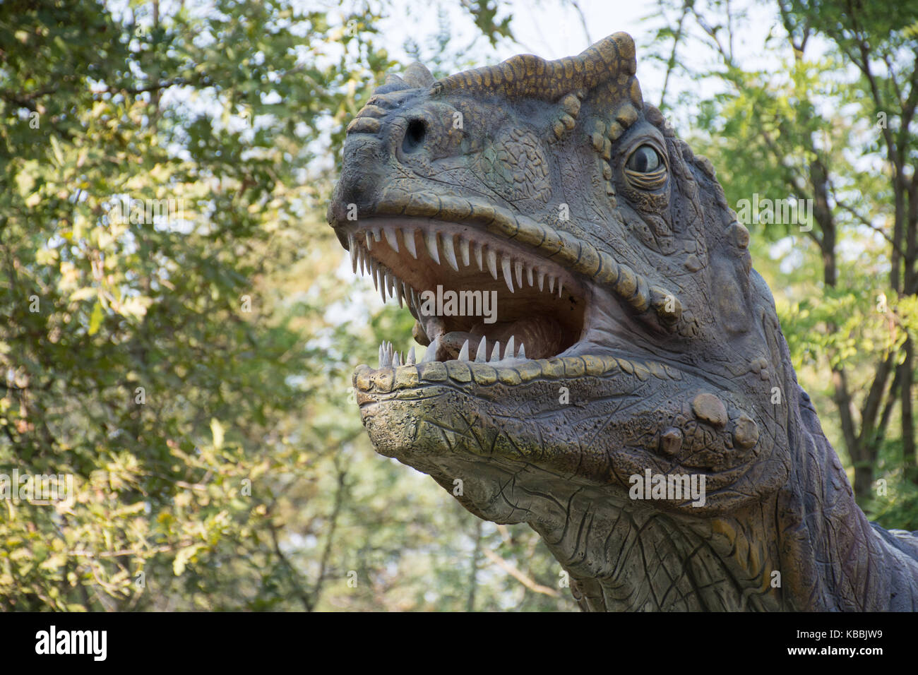 Saltriosaur hi-res stock photography and images - Alamy