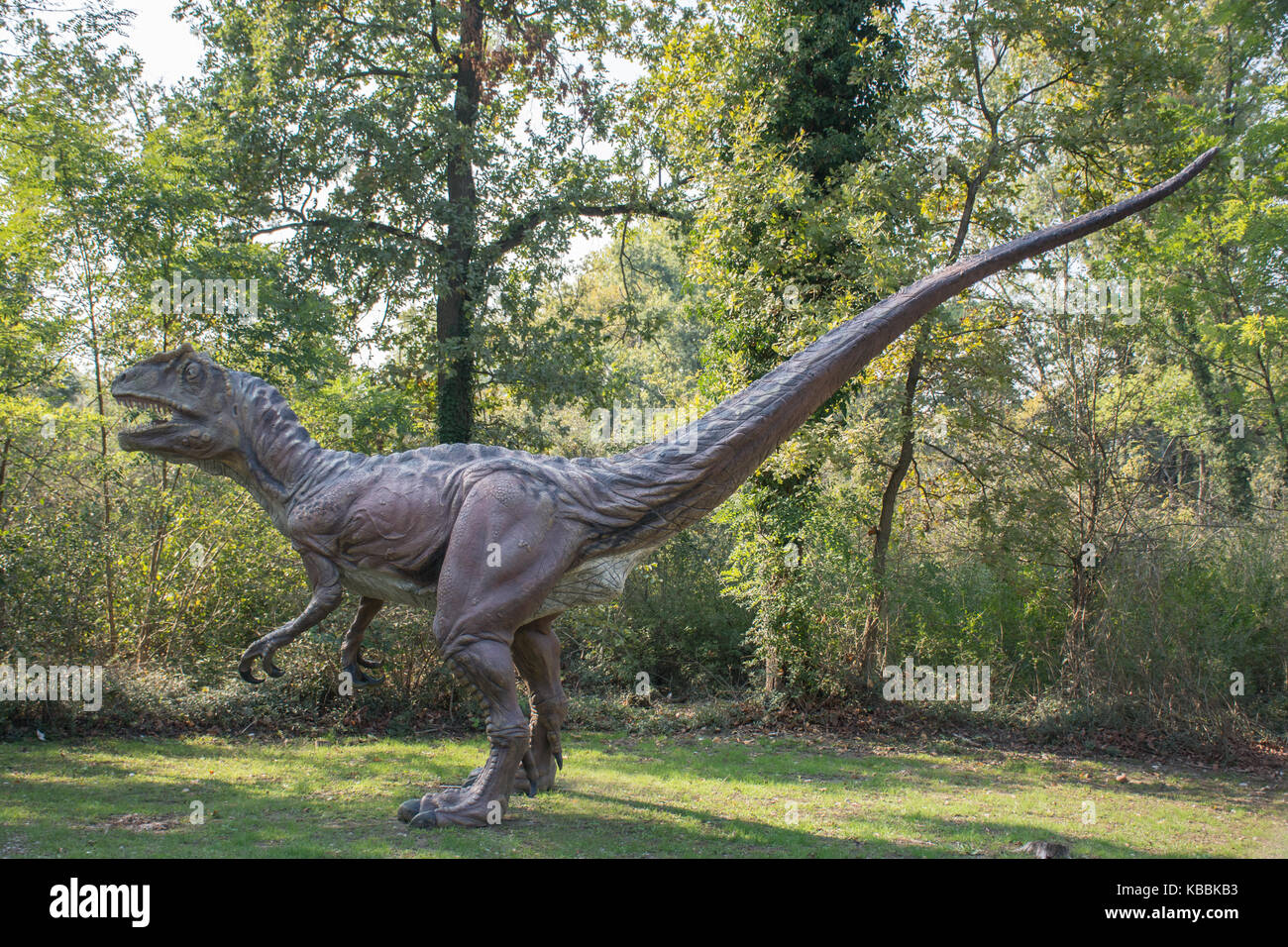 Saltriosaur hi-res stock photography and images - Alamy