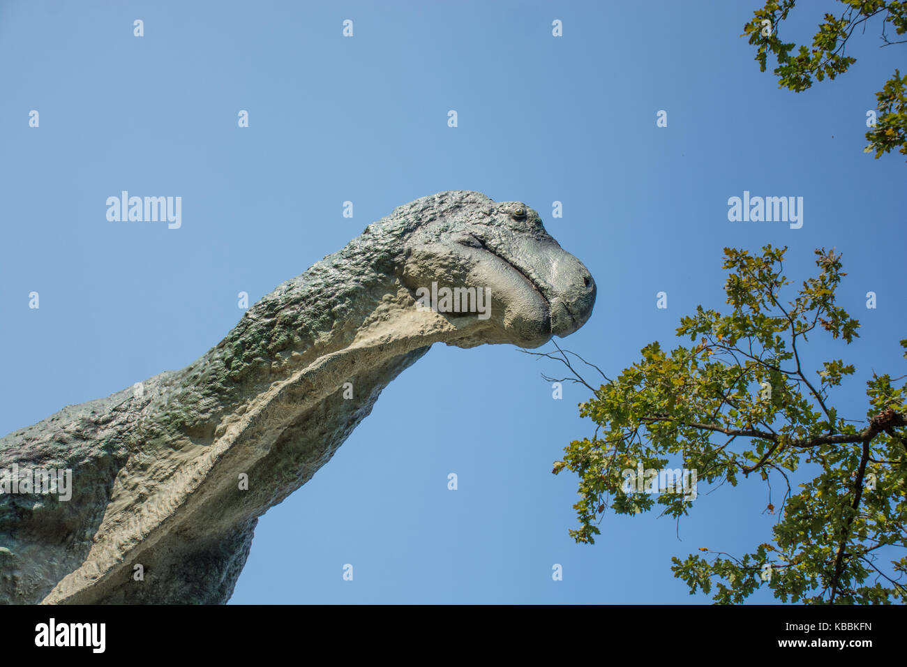 Brontosaurus Teeth High Resolution Stock Photography and Images - Alamy