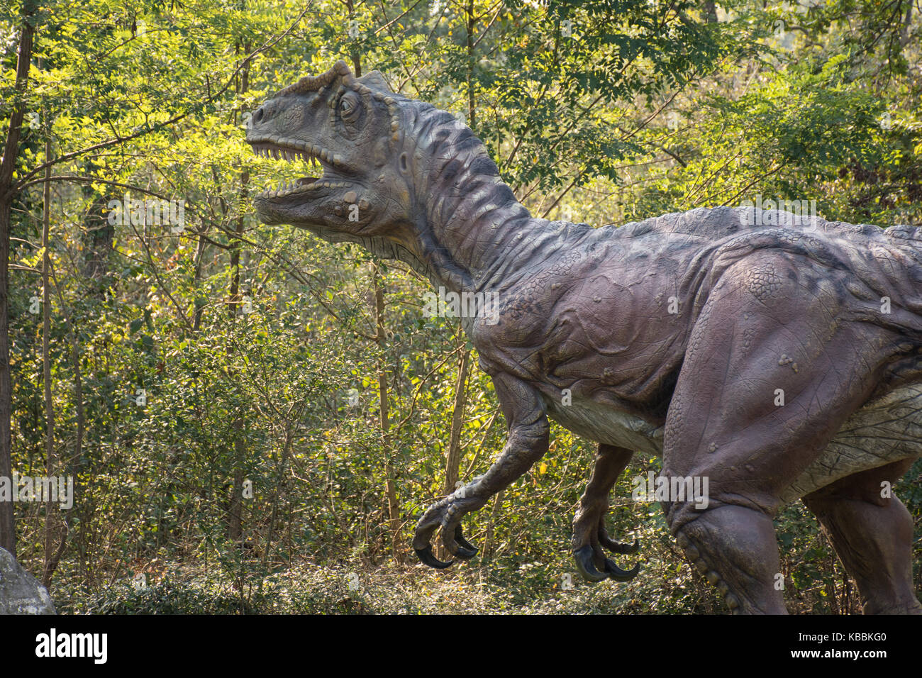 Saltriosaurus hi-res stock photography and images - Alamy
