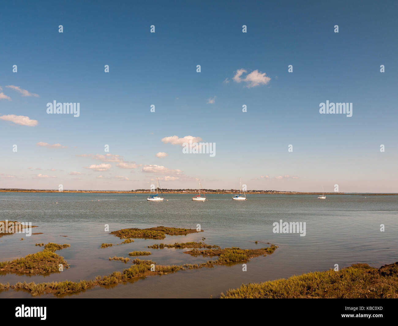 beautiful scene of river with boats grassland in front blue sky and ...