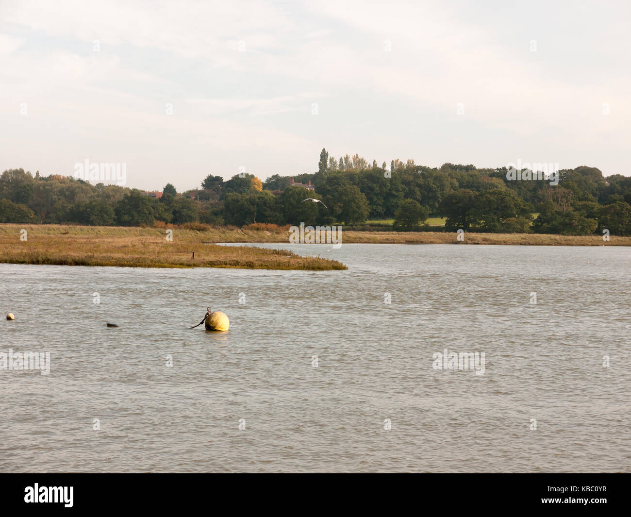 Floating indicator hi-res stock photography and images - Alamy