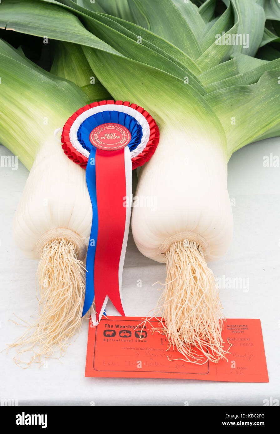 Show leeks hi-res stock photography and images - Alamy