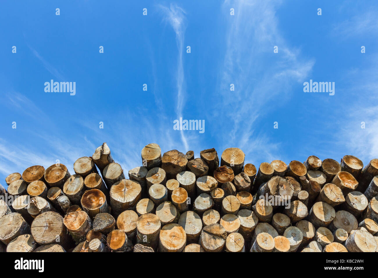 Many sawed pine logs stacked in a pile under cloudy sky. Front view ...