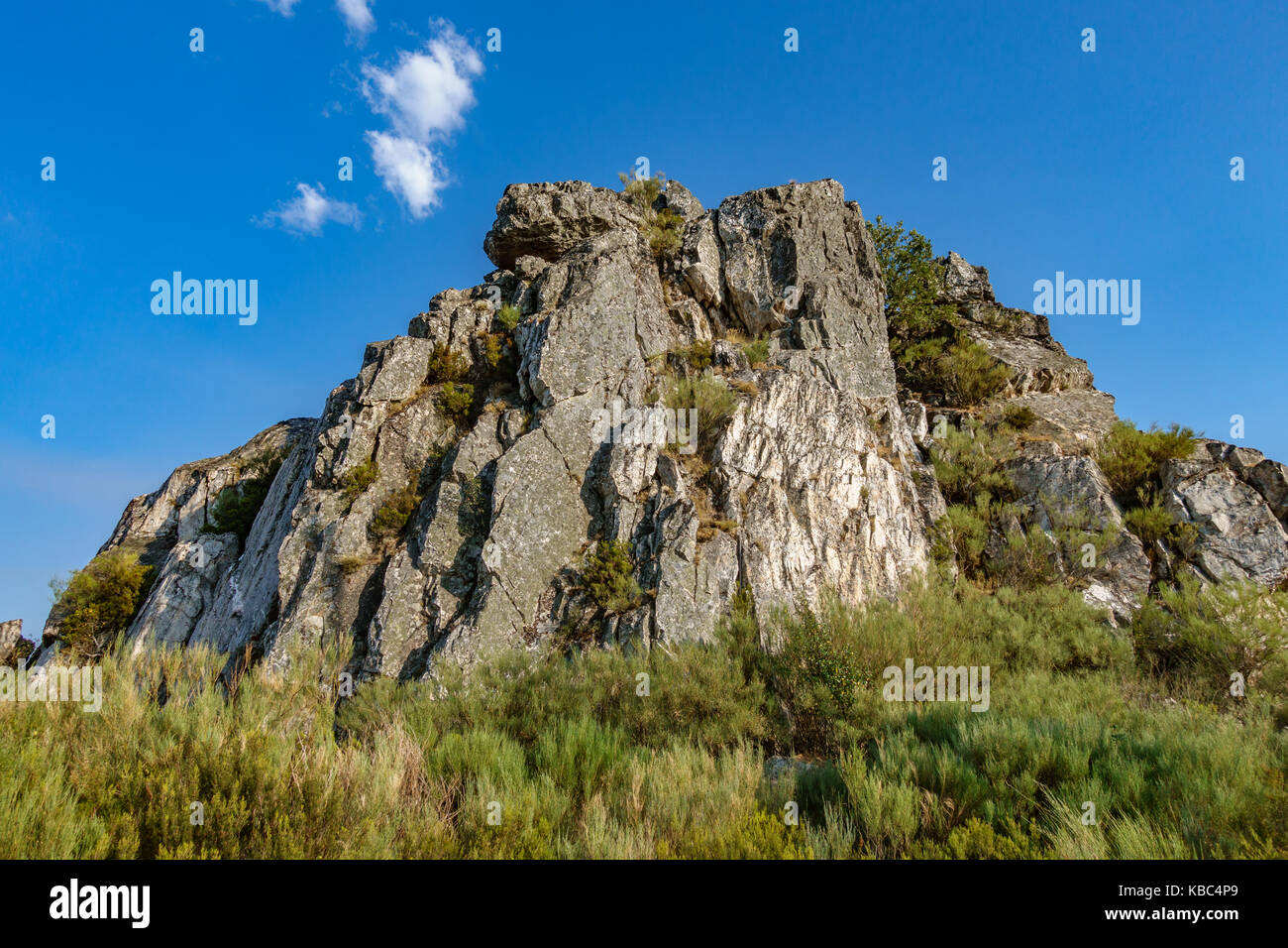 Emerging rock over bush Stock Photo - Alamy