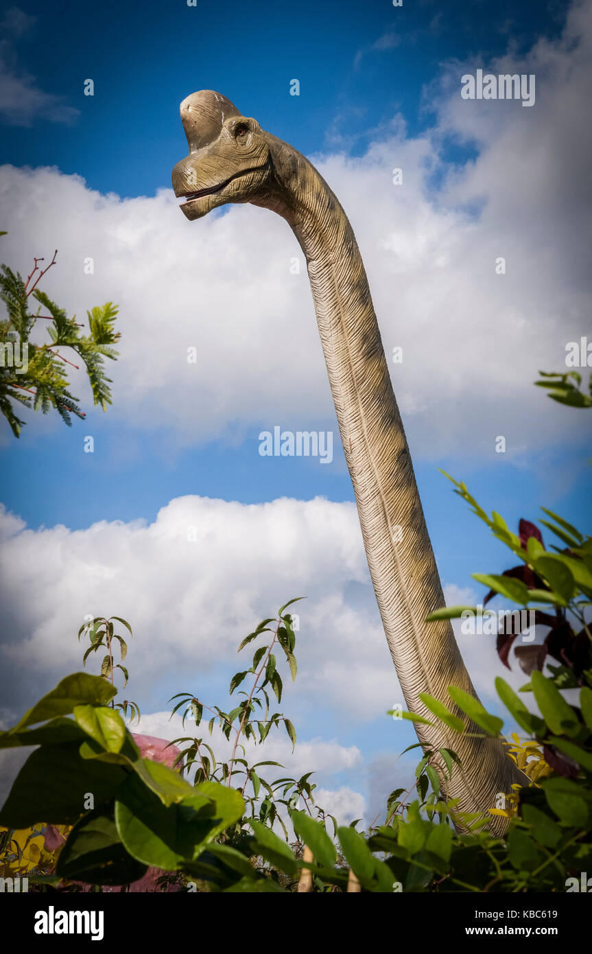 Replica Diplodocus dinosaur Stock Photo - Alamy