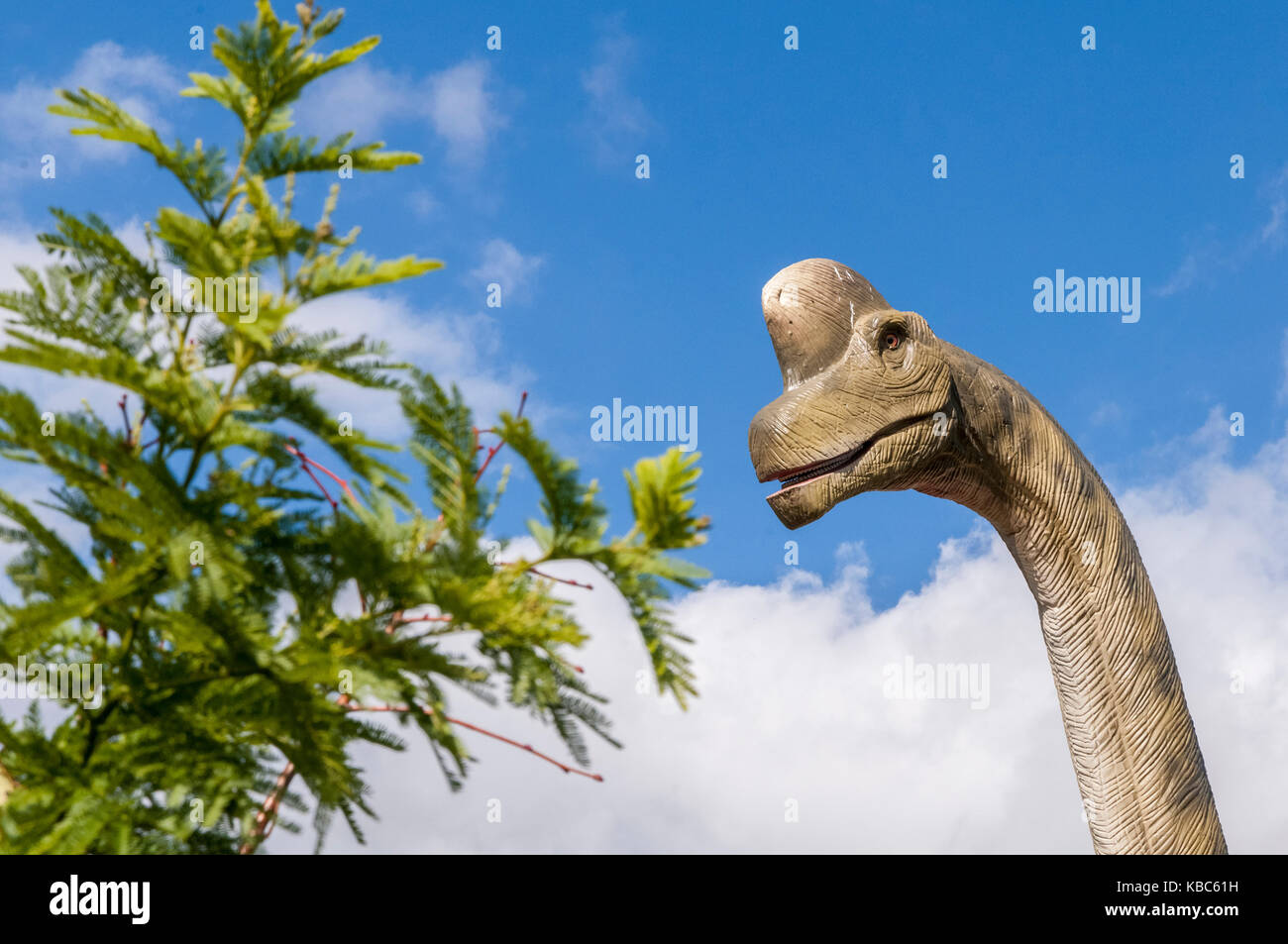 Diplodocus hi-res stock photography and images - Alamy