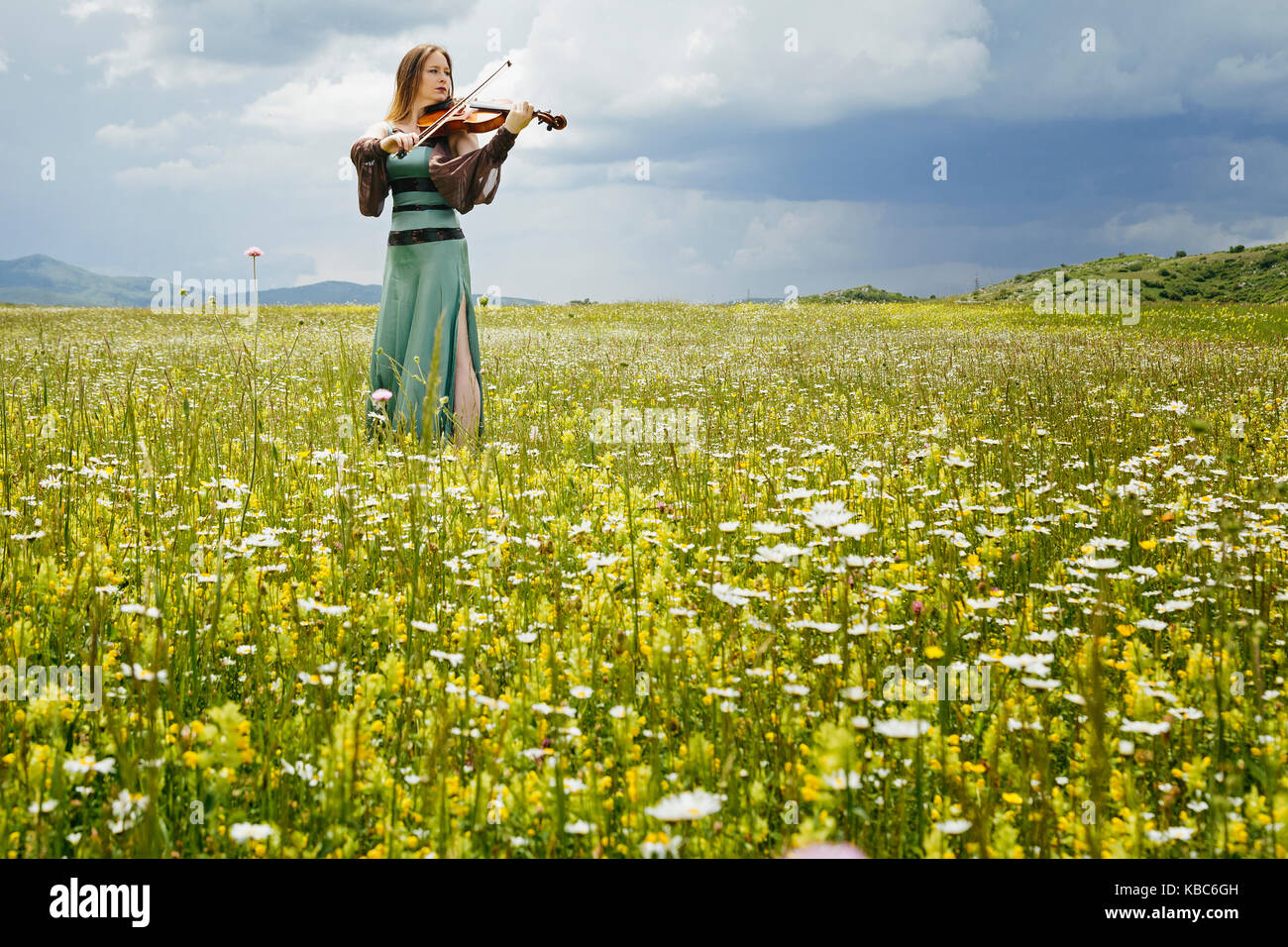 Beautiful female viola player on a wildflower meadow Stock Photo - Alamy