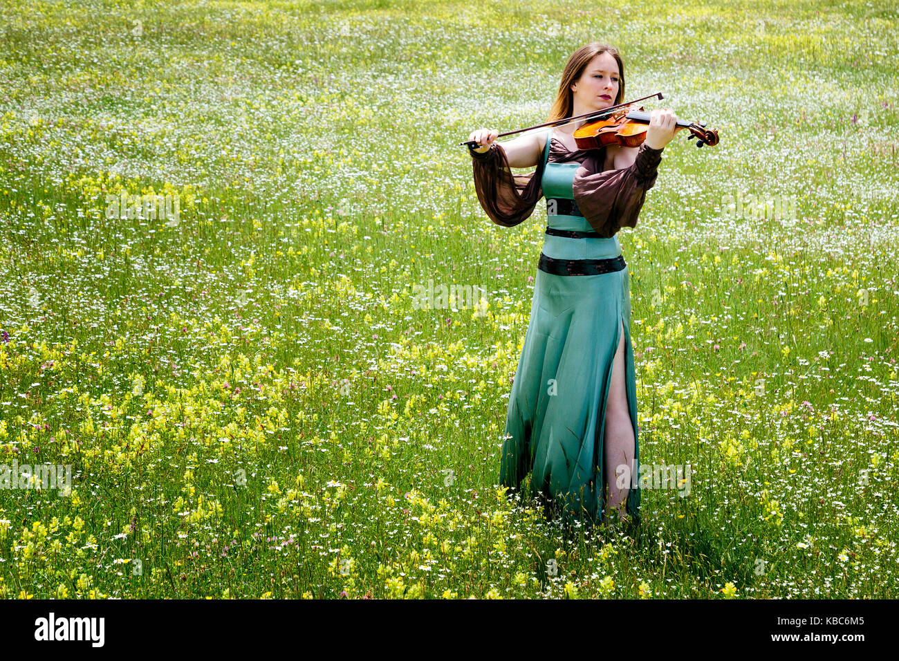Beautiful female viola player on a wildflower meadow Stock Photo - Alamy