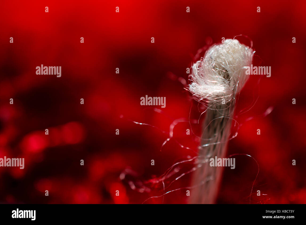 Fiber microscope hi-res stock photography and images - Alamy