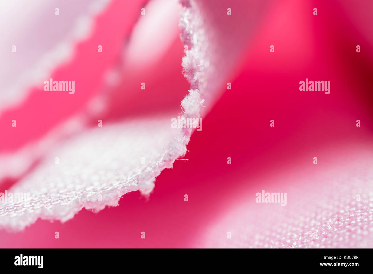 Close-Up Of Vibrantly Pink Microfiber Cloth Stock Photo - Alamy