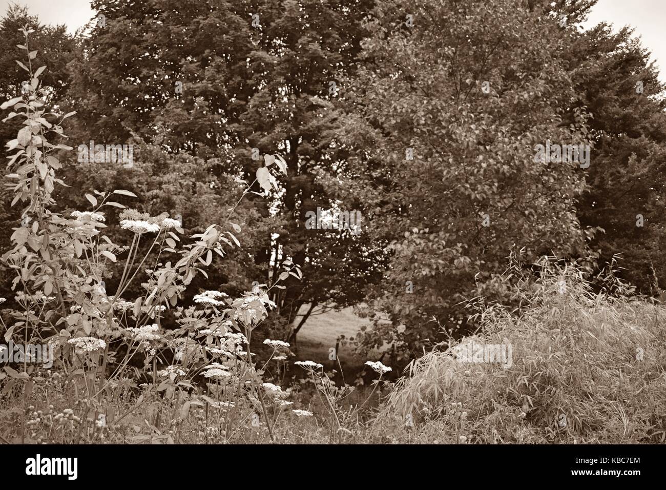 Twechar village hi-res stock photography and images - Alamy