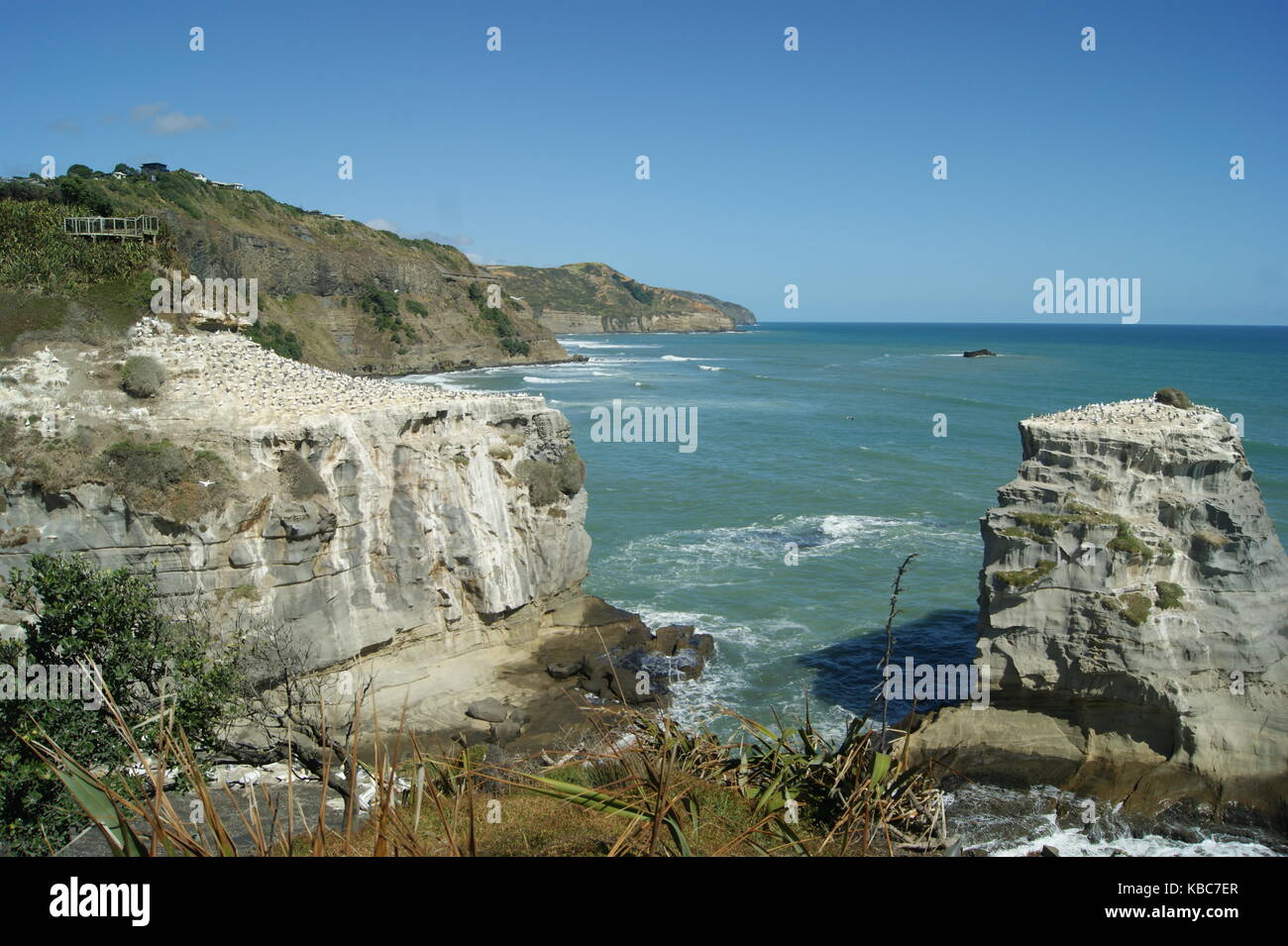 Muriwai Beach,Auckland, New Zealand Stock Photo - Alamy