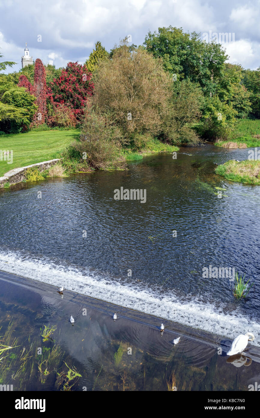 River Stour in Blandford Stock Photo - Alamy