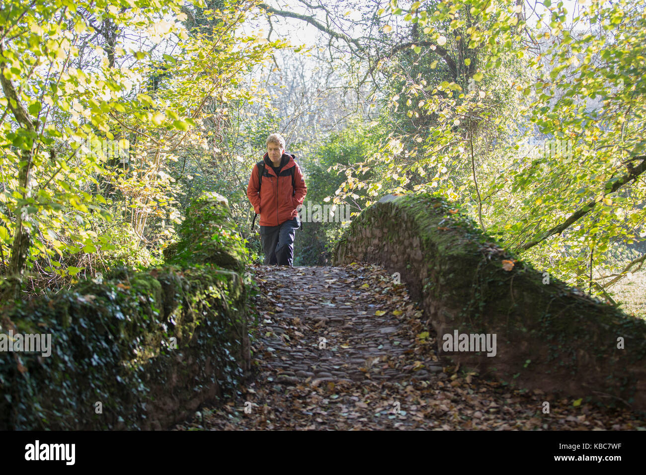 Nov 2016 EXMOOR - Walk in Depth - with Mark Rowe - Pix by Steve Morgan ...
