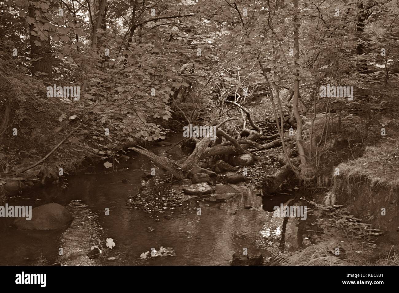 Twechar village hi-res stock photography and images - Alamy