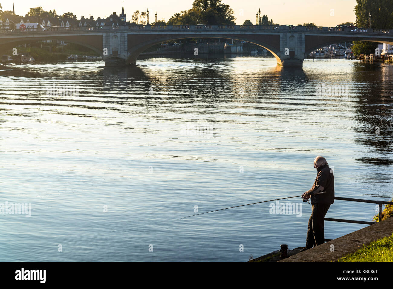 Man angling on the Thames near Hampton Court Bridge, London, England ...