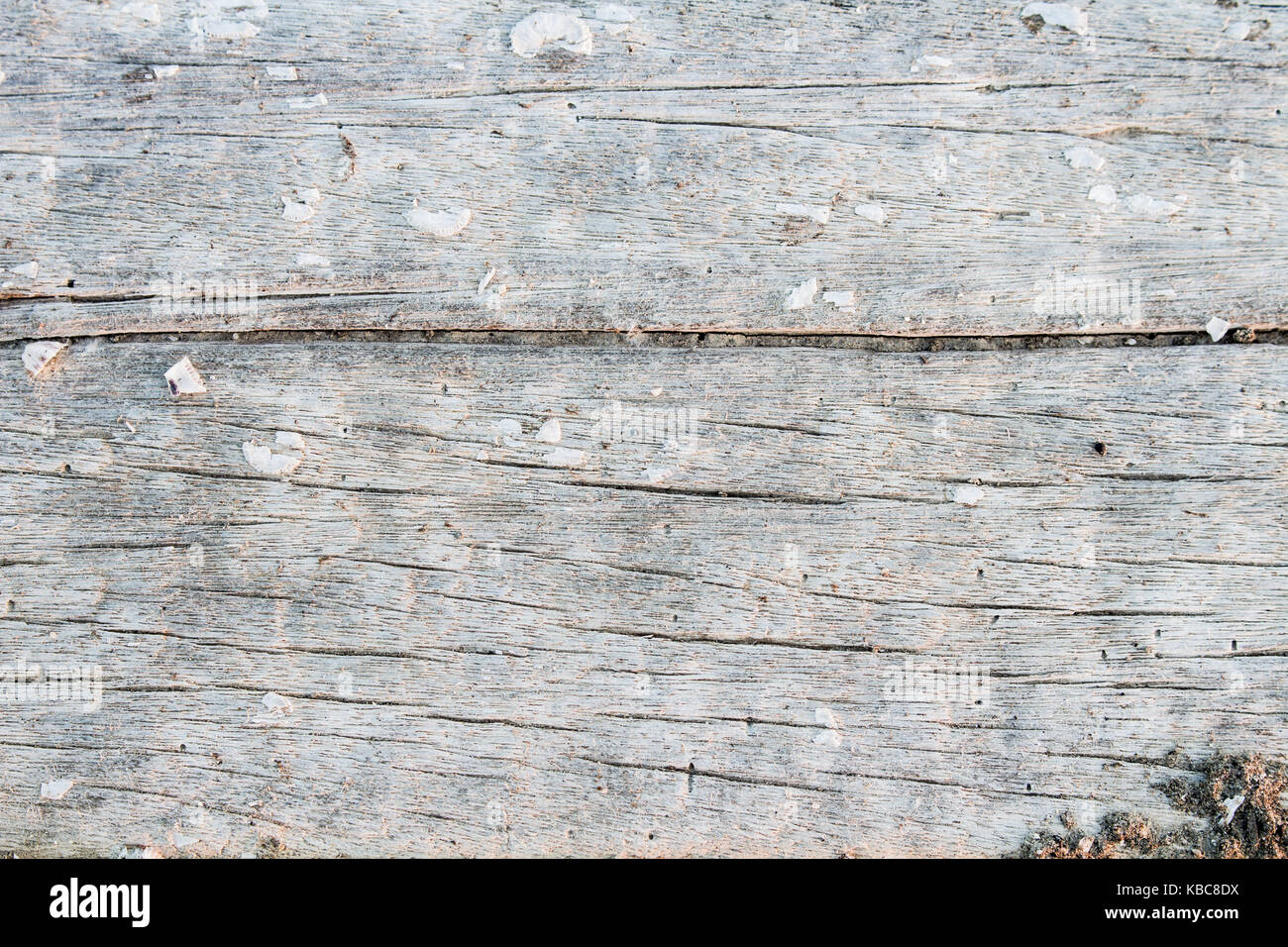 the old wood surface, wood background, wood texture Stock Photo - Alamy
