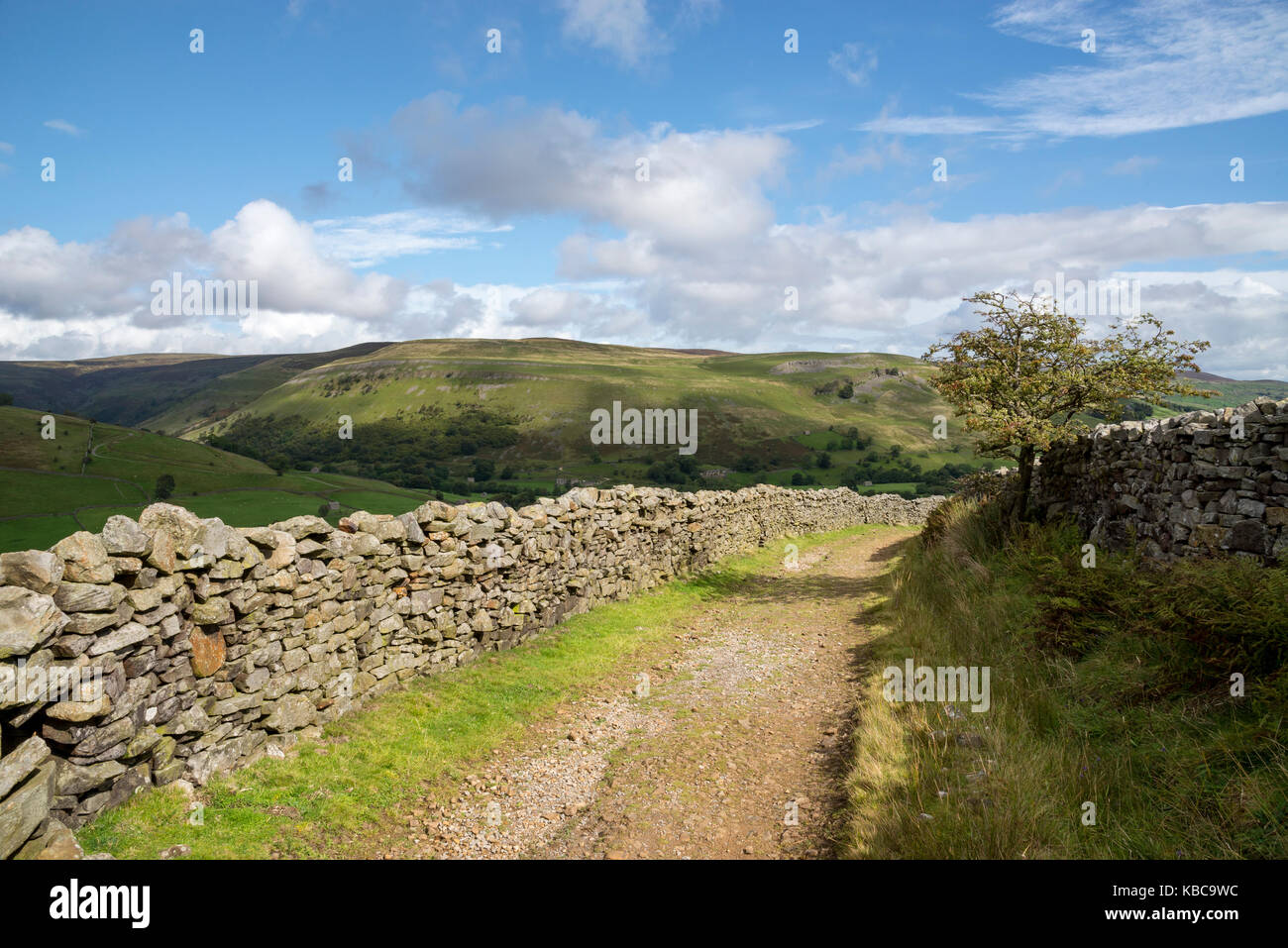 Rough path at Muker side in Upper Swaledale, Yorkshire Dales, England ...