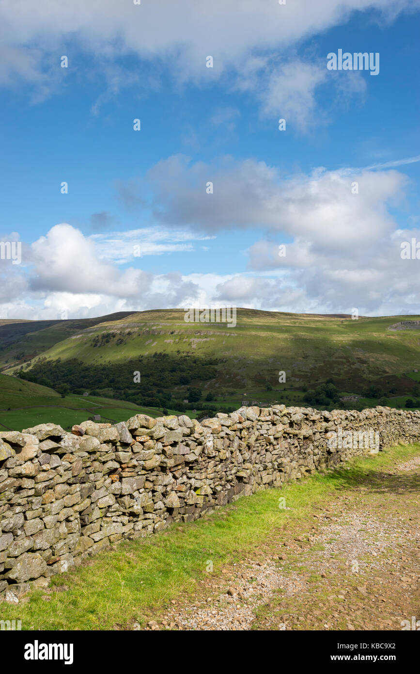 Rough path at Muker side in Upper Swaledale, Yorkshire Dales, England ...