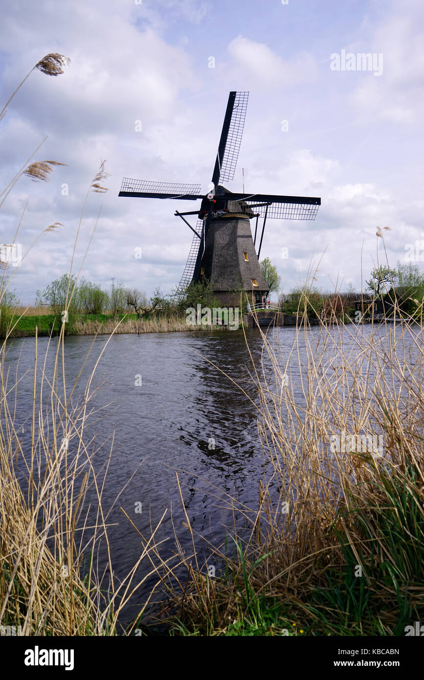 Dutch windmill in the afternoon build and standing next to polder water ...