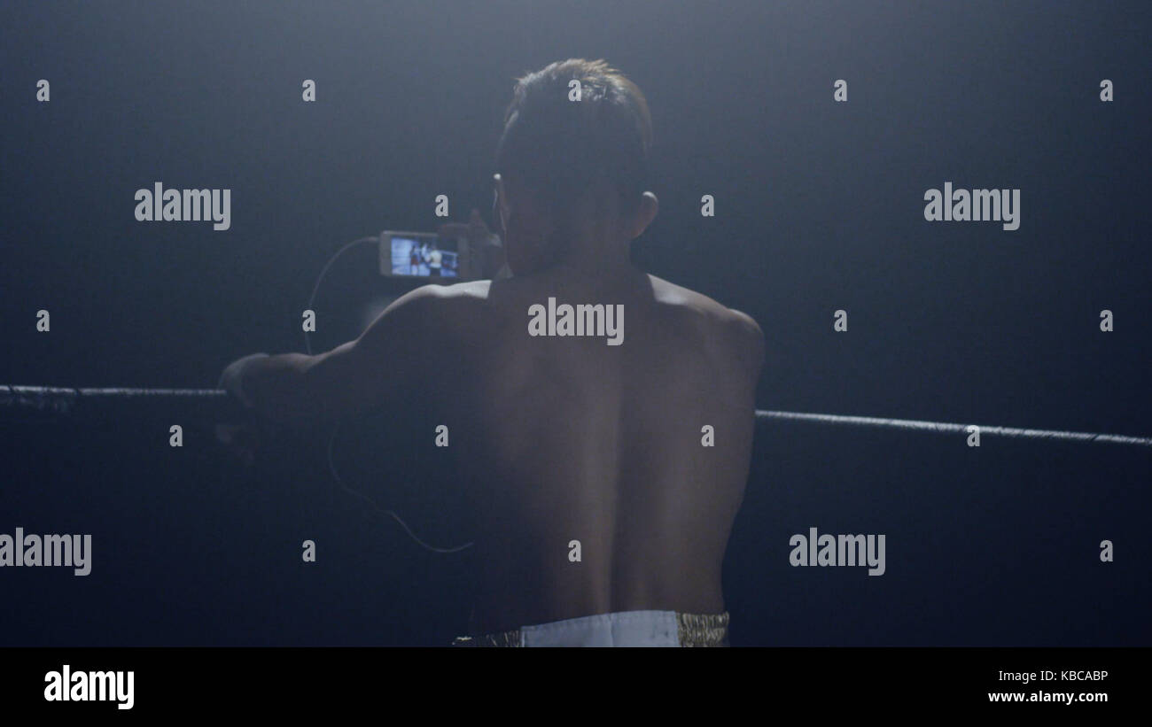 Boxer looks in the phone. Rear view of a boxer who looks match his ...