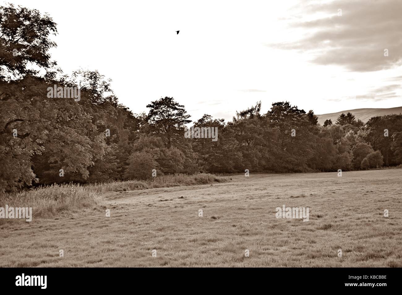 Wiliam Docherty I was walking around twechar. What is a small mining ...