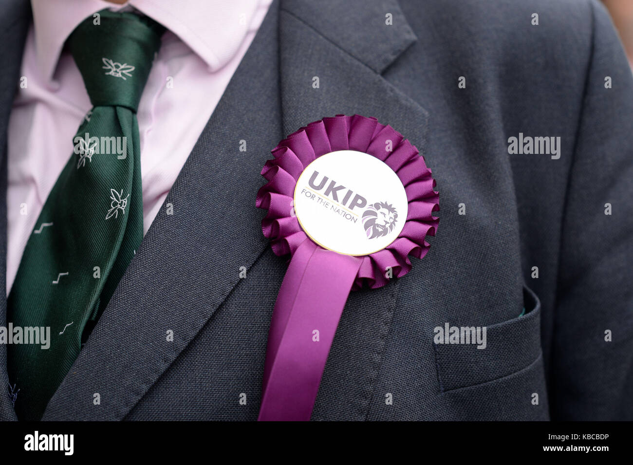 Ukip logo hi-res stock photography and images - Alamy
