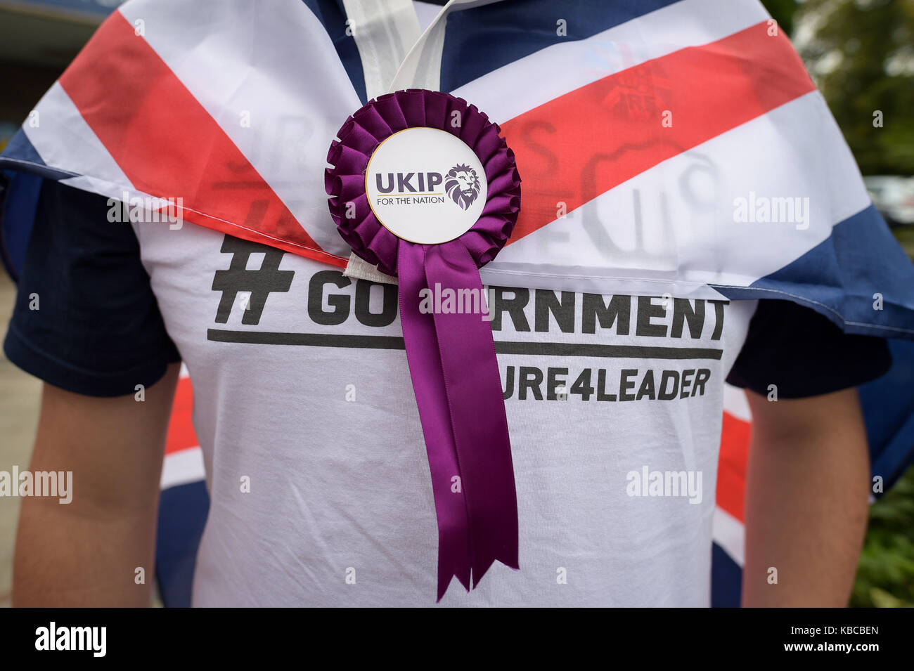 A UKIP rosette featuring the new logo at the UKIP National Conference ...