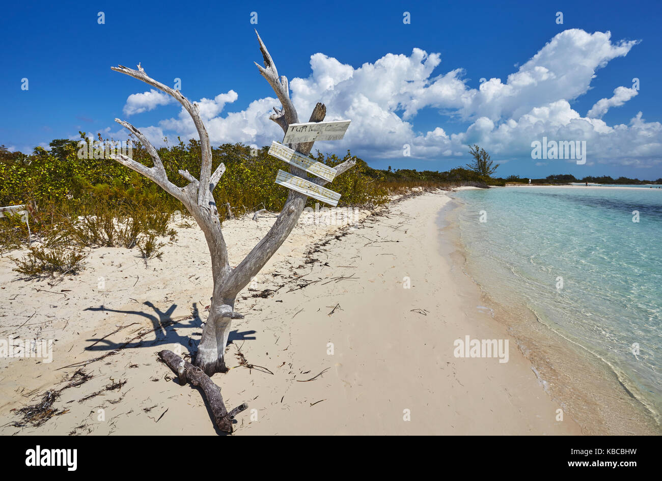 The shore of Little Water Cay, a nature reserve island off the northern ...
