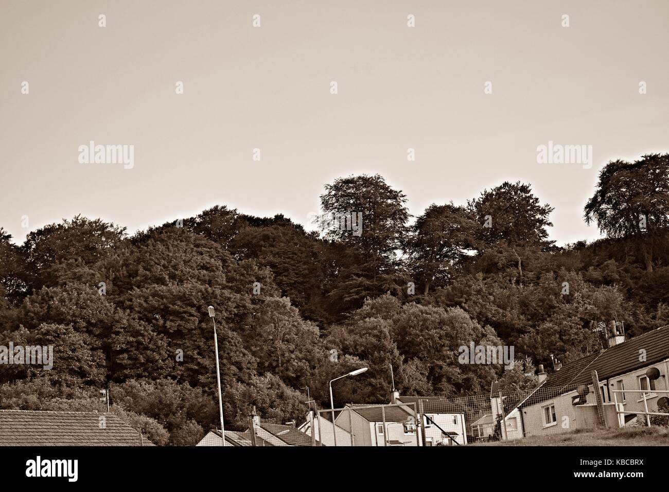 Wiliam Docherty I was walking around twechar. What is a small mining ...