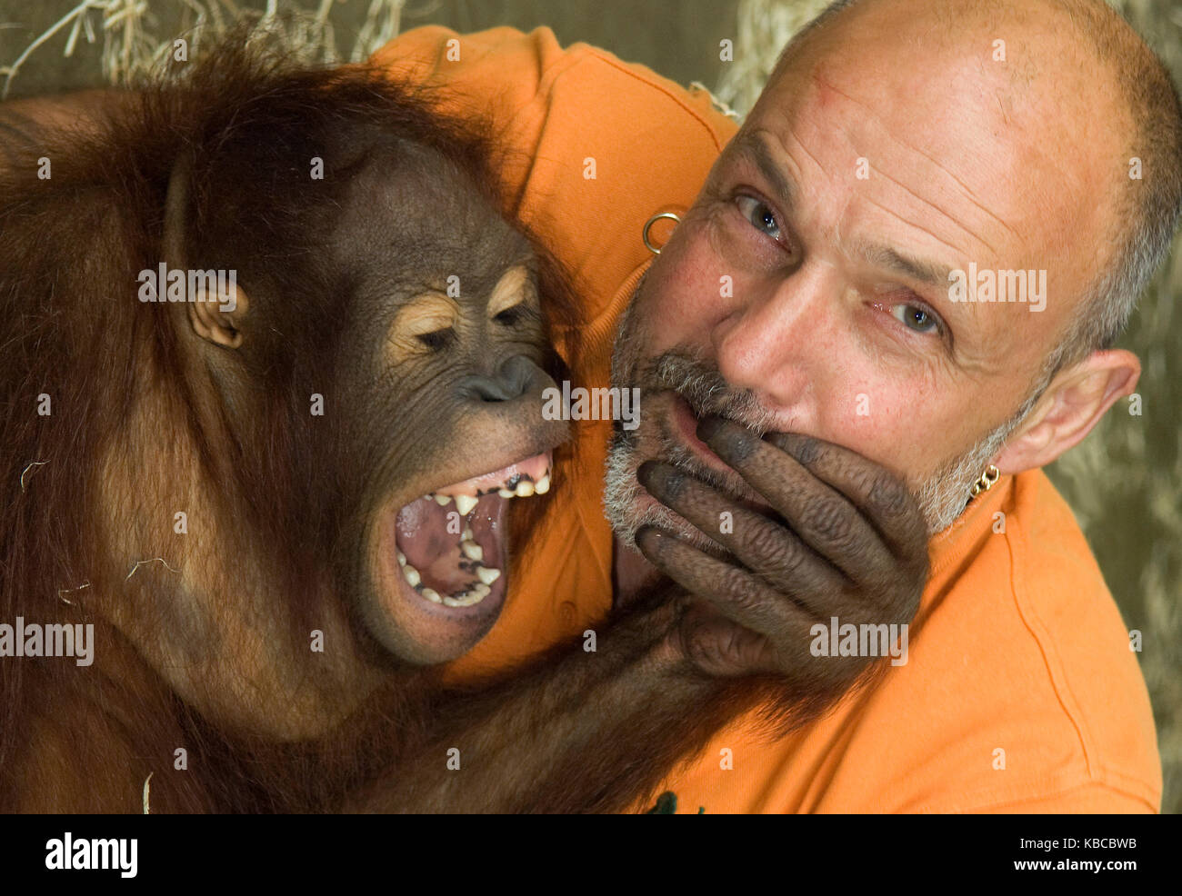 Jeremy Keeling, co founder of Monkey World in Dorset, with a young ...