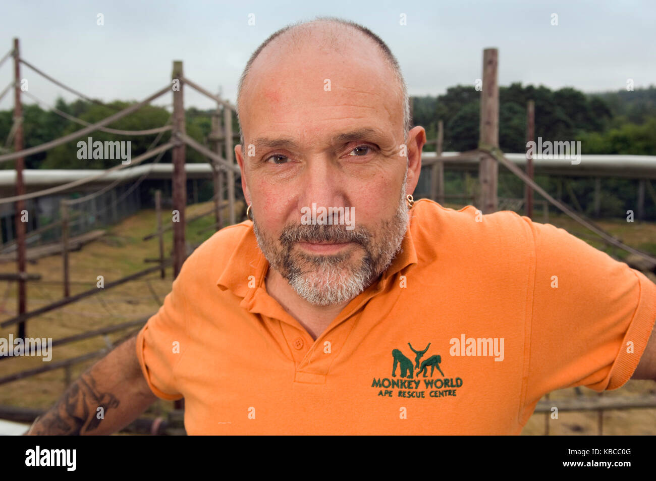 At monkey world in dorset hi-res stock photography and images - Alamy