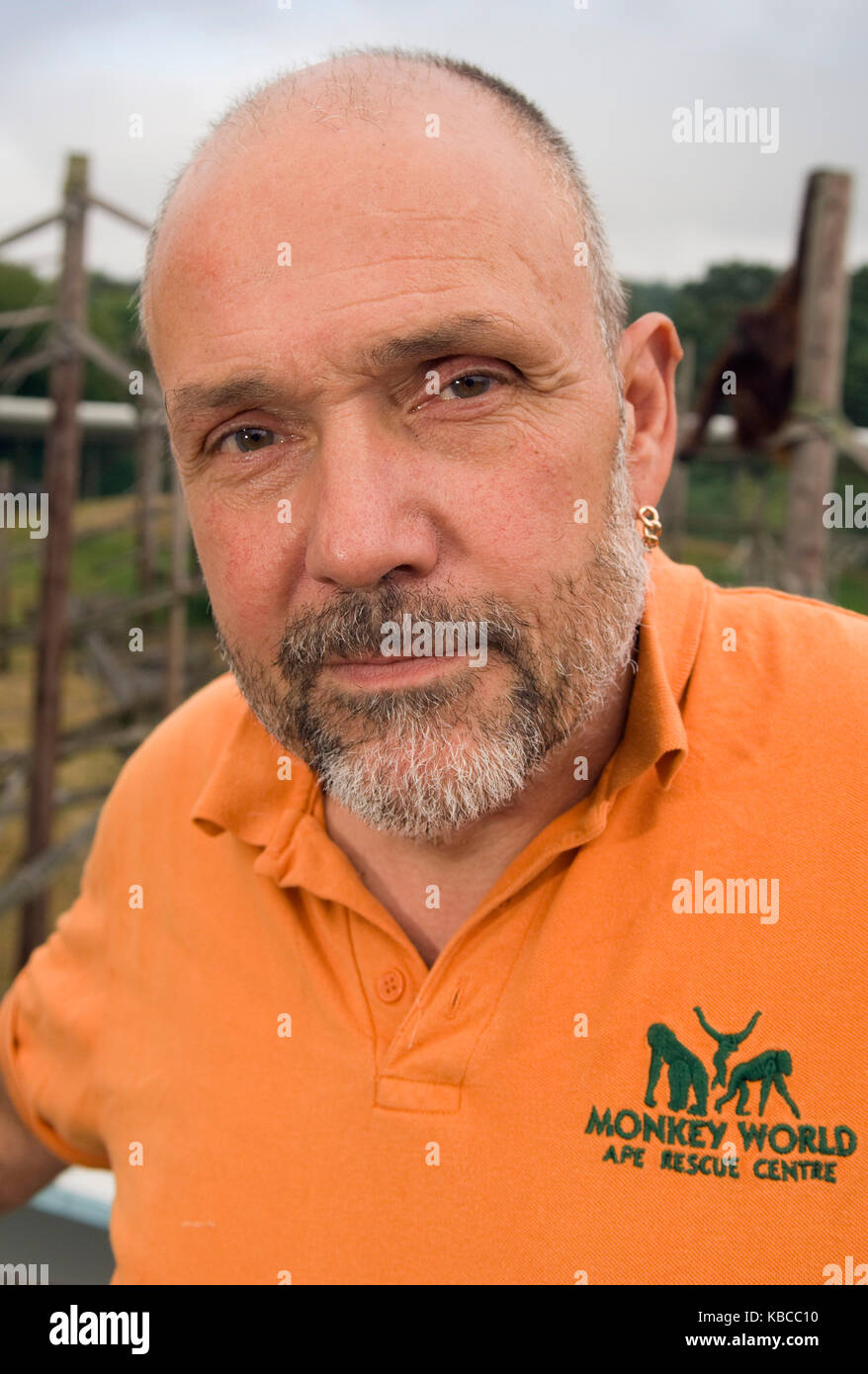 Monkey world uk hi-res stock photography and images - Alamy