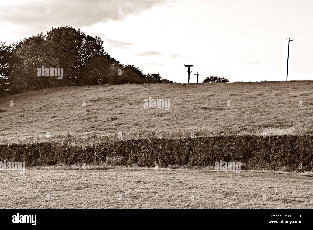 Wiliam Docherty I was walking around twechar. What is a small mining ...