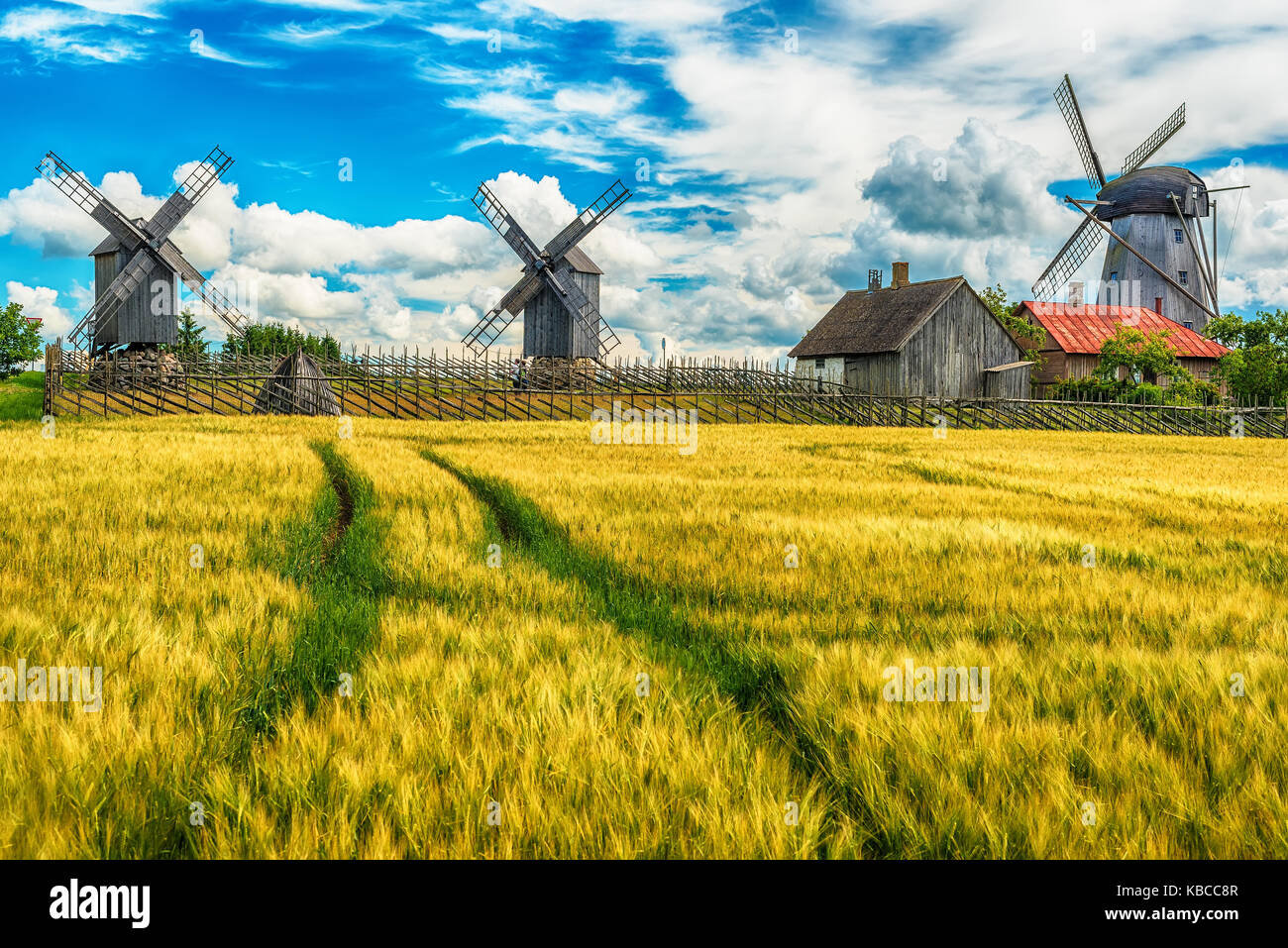 Saarema Island, Estonia: summer fields and Angla windmills in Leisi ...