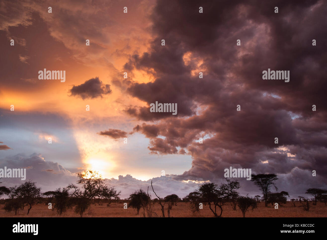 Clouds approach the savannah at the beginning of the rainy season ...