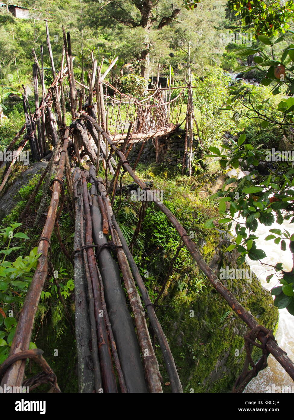 Oceania Indonesia Irian Jaya Dani High Resolution Stock Photography and ...