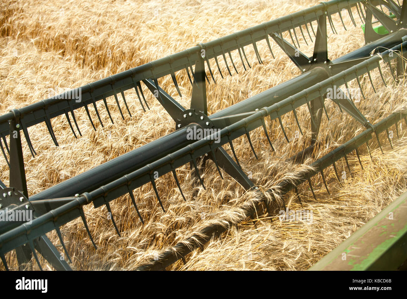Close up combine harvesting wheat hi-res stock photography and images ...