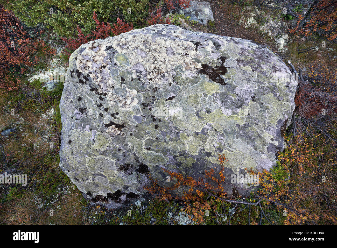 Tundra rocks hi-res stock photography and images - Alamy