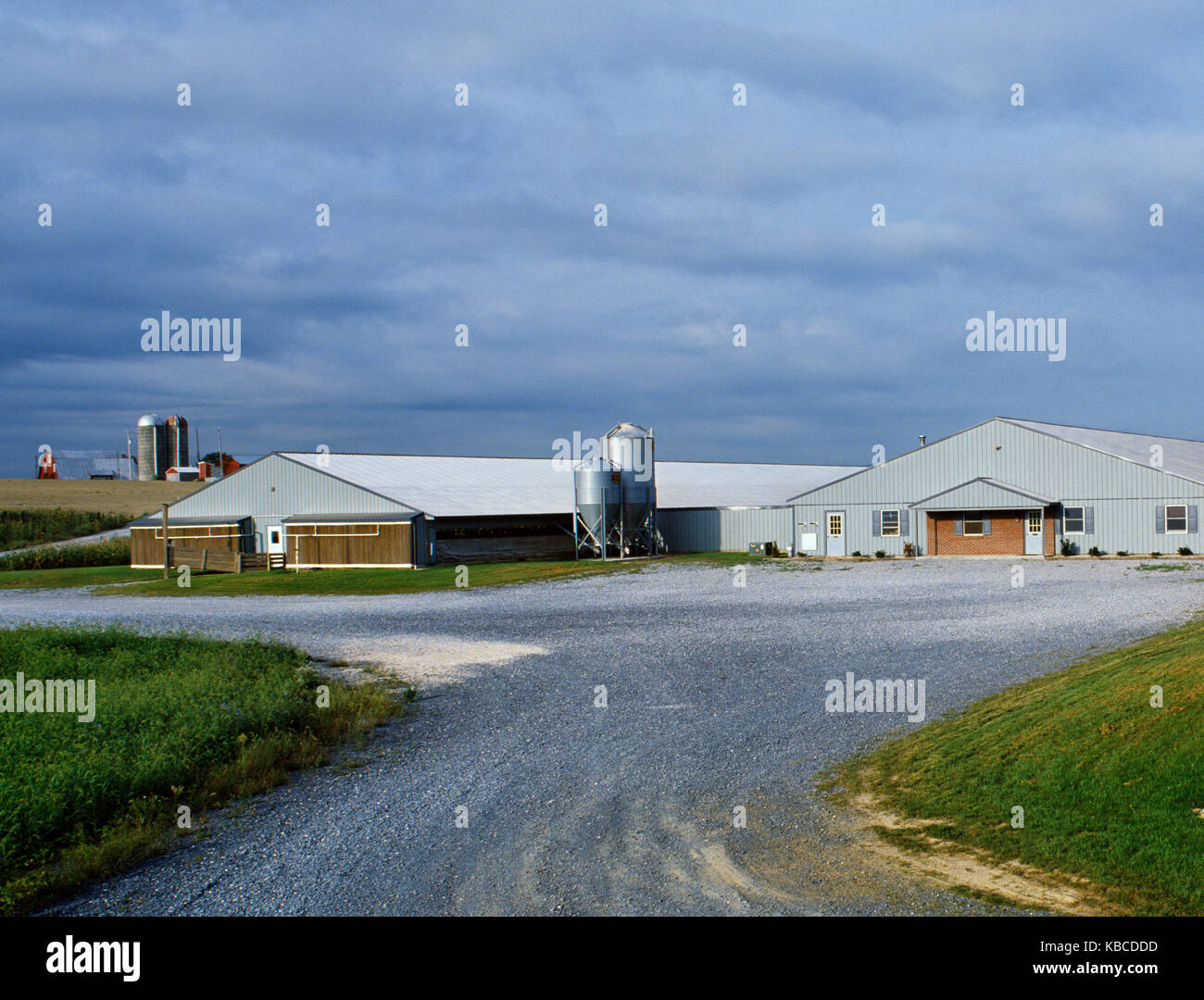 Farrowing hi-res stock photography and images - Alamy