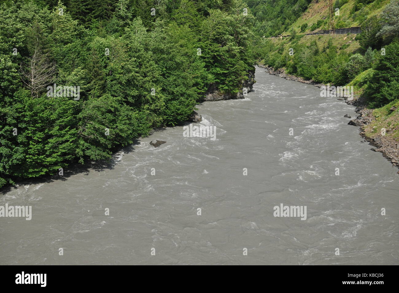 Flood trough trees hi-res stock photography and images - Alamy