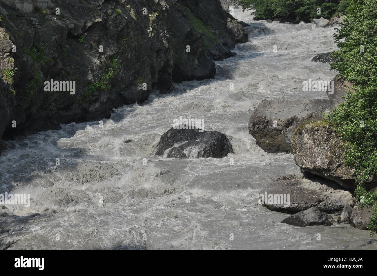 Flood trough trees hi-res stock photography and images - Alamy