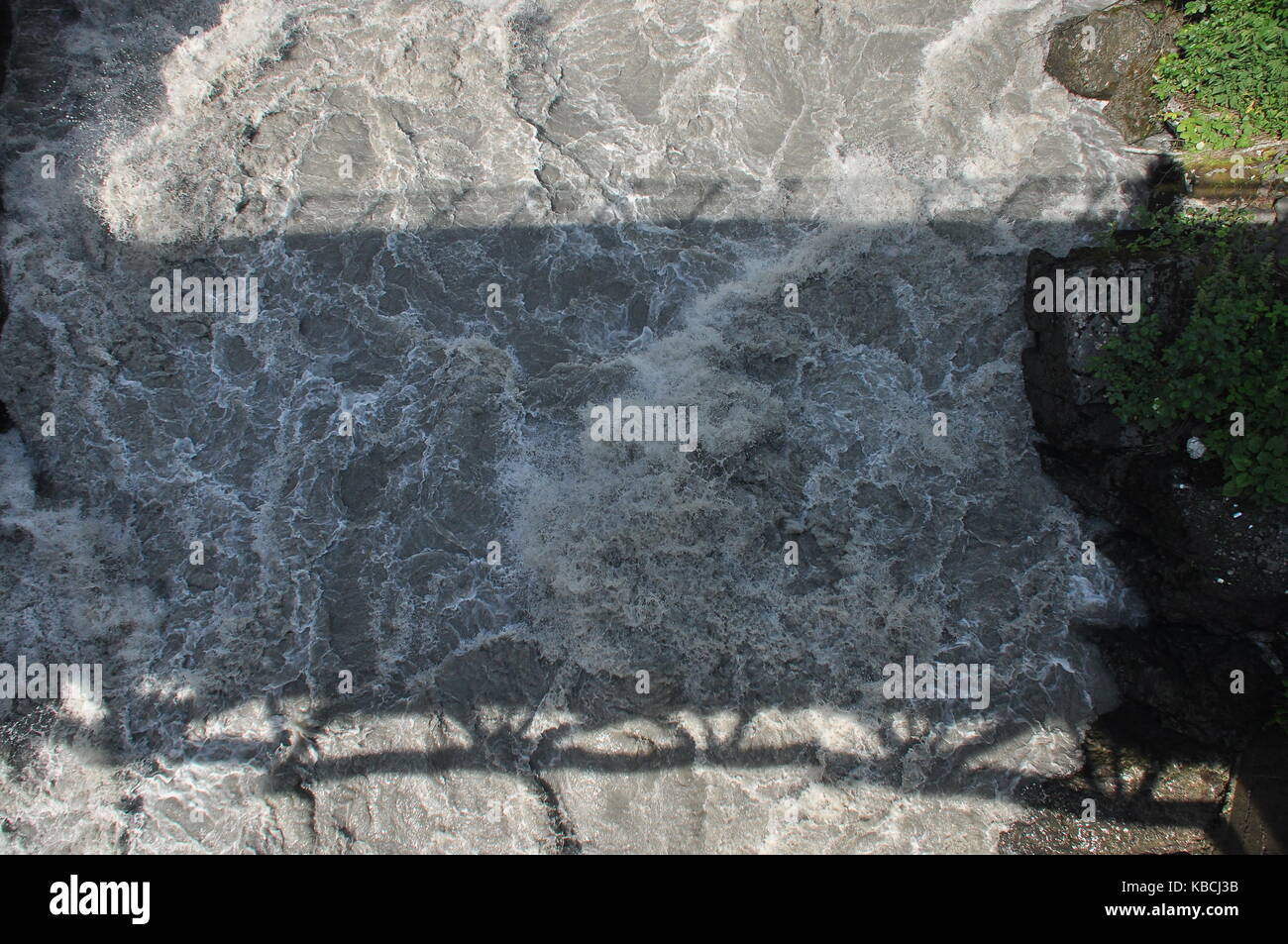 Flood trough trees hi-res stock photography and images - Alamy