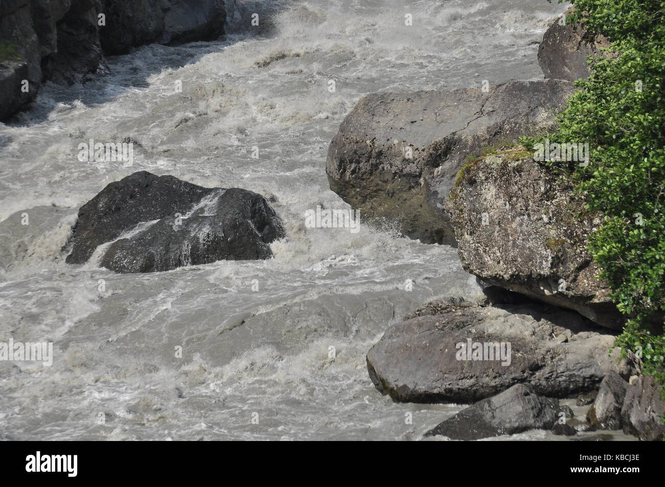 Flood trough trees hi-res stock photography and images - Alamy