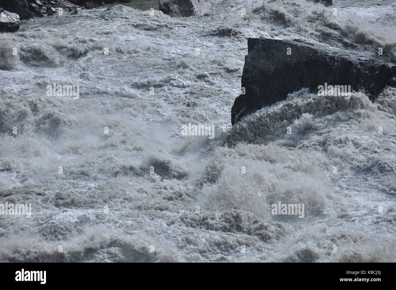 Flood trough trees hi-res stock photography and images - Alamy