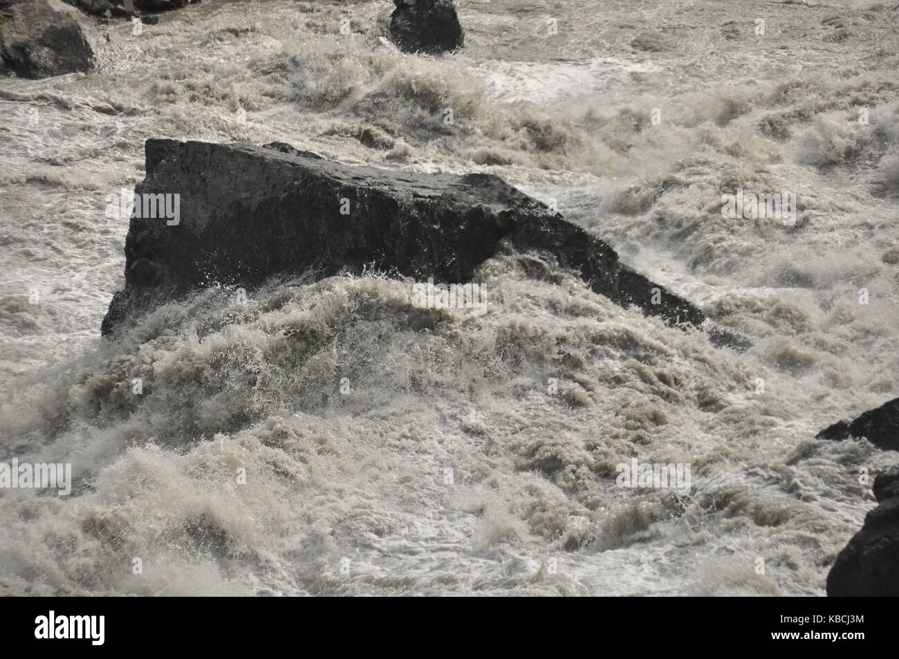 Flood trough trees hi-res stock photography and images - Alamy